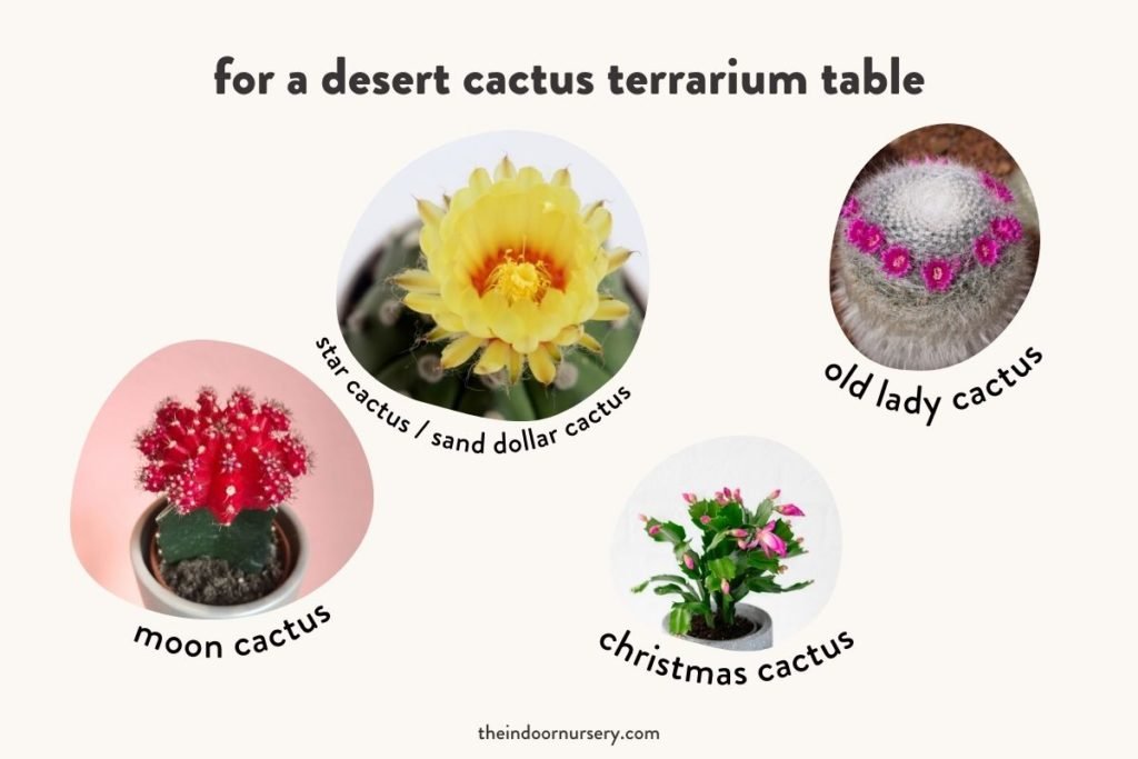 DIY Terrarium Table: How To Make A Table With Plants Inside