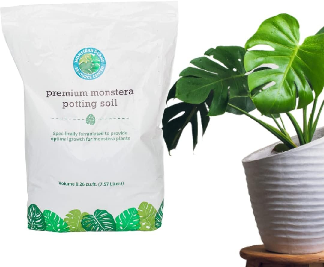 Best Soil For Monstera Plants (DIY Recipe + Store-Bought Options)