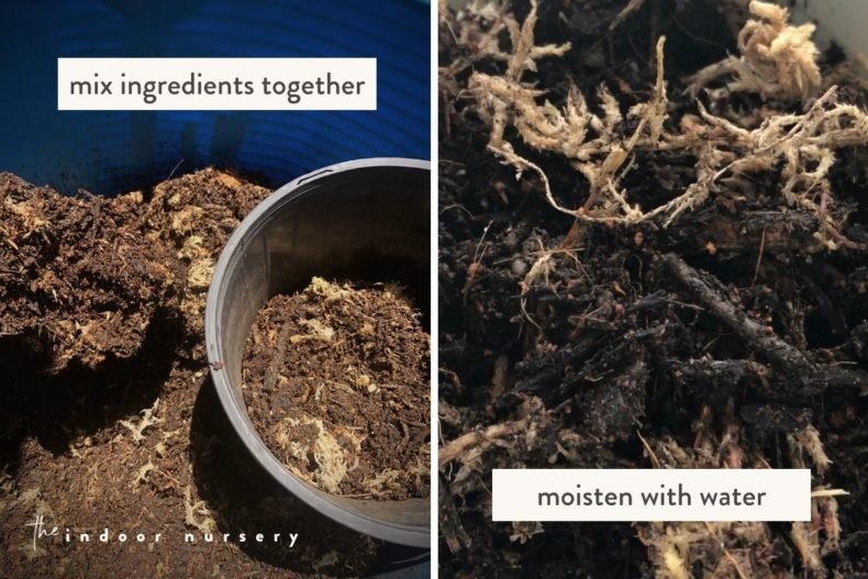 Best Soil For Monstera Plants (DIY Recipe + Store-Bought Options)