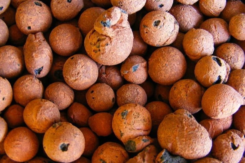 The Best LECA Balls (Expanded Clay Pebbles) For Your Plants