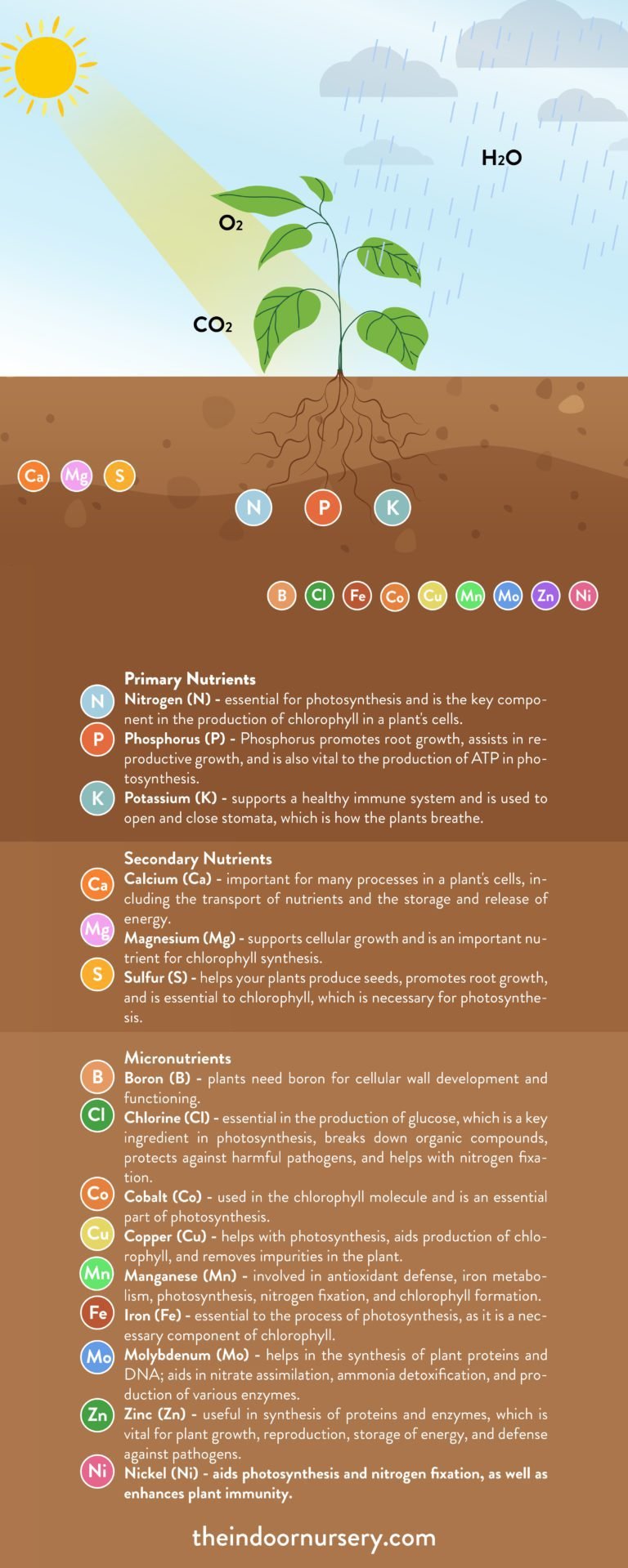 What nutrients do plants need to survive and grow?