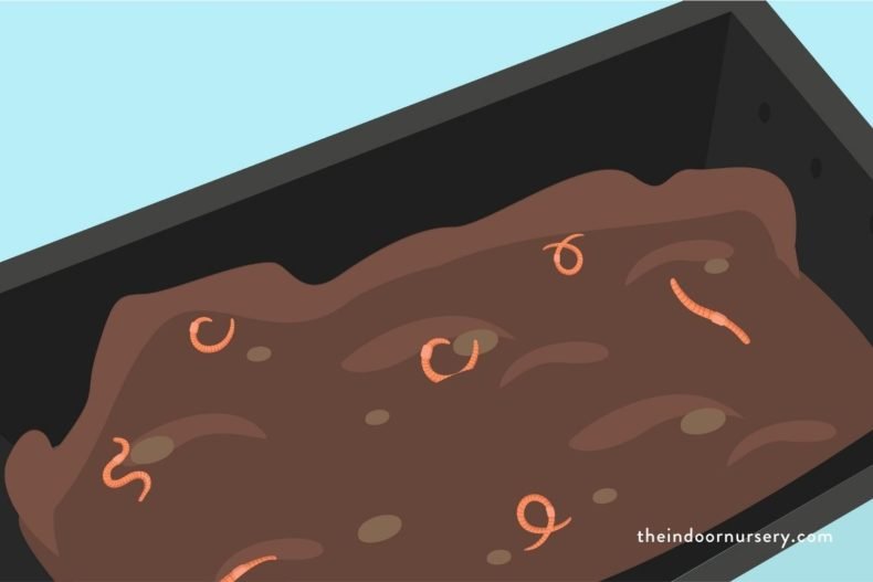 How to make a DIY indoor worm composting bin in 4 steps