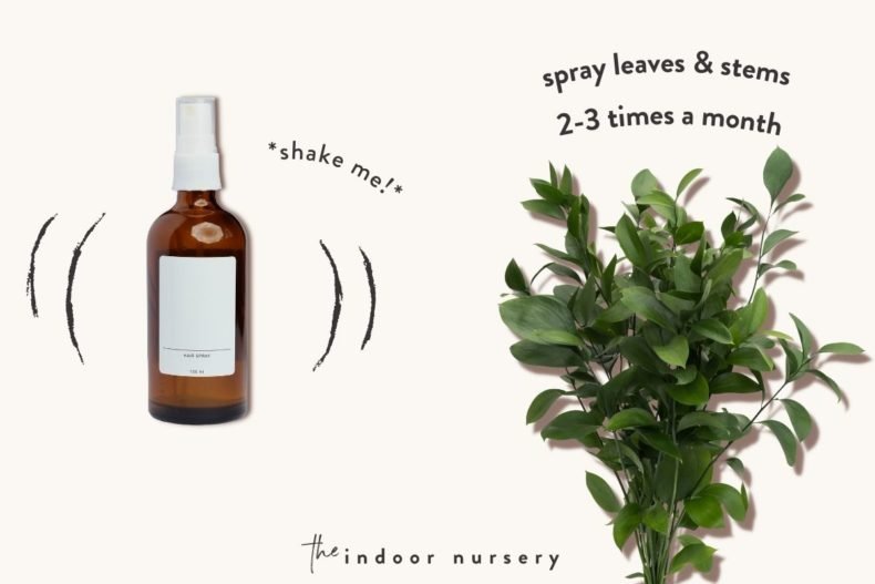How to mix neem oil for plants with 3 simple ingredients