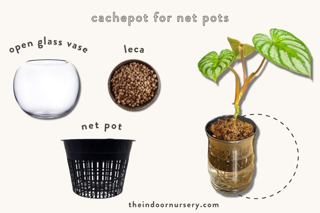 5 diy dollar tree planters that you can make right now