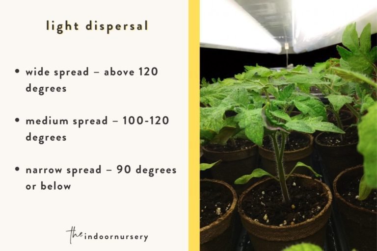 How close should grow lights be to plants?