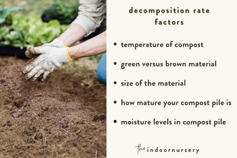 how long does compost take to turn into nutritious soil?