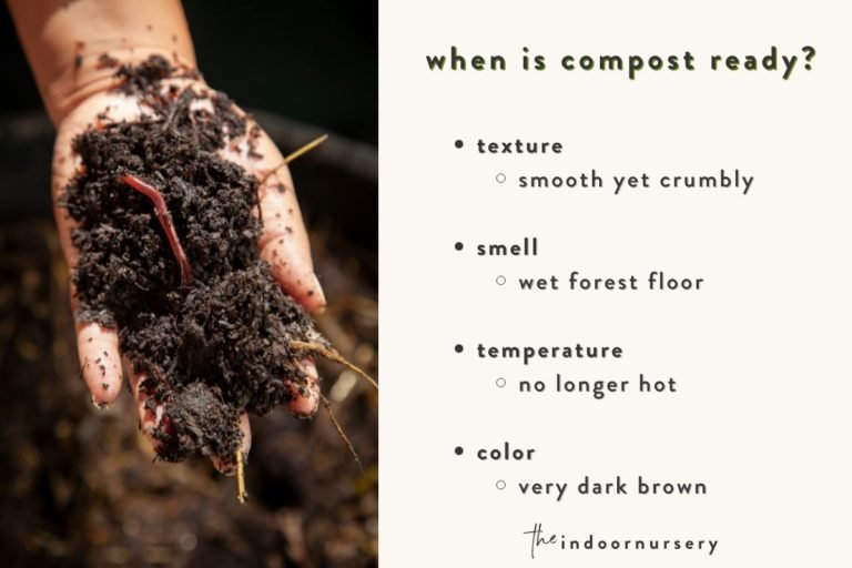 how long does compost take to turn into nutritious soil?
