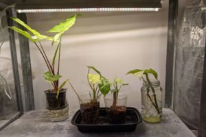 TESTED: my review of the Barrina LED lights