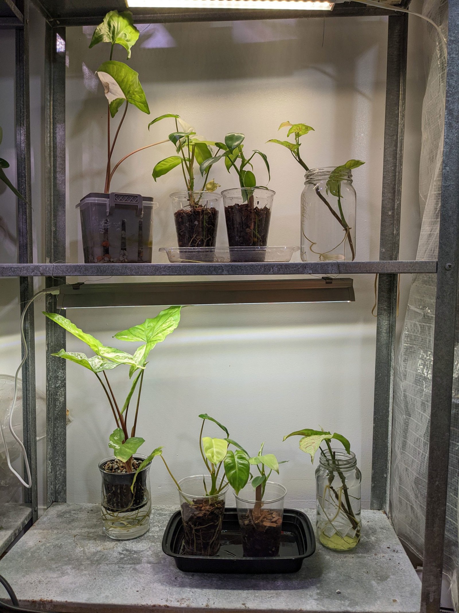 TESTED: my review of the Barrina LED lights