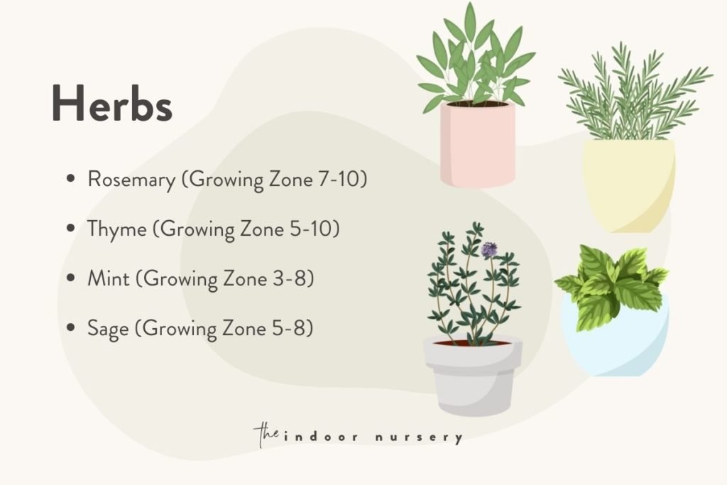 Plant hardiness zones for indoor plants (with map)