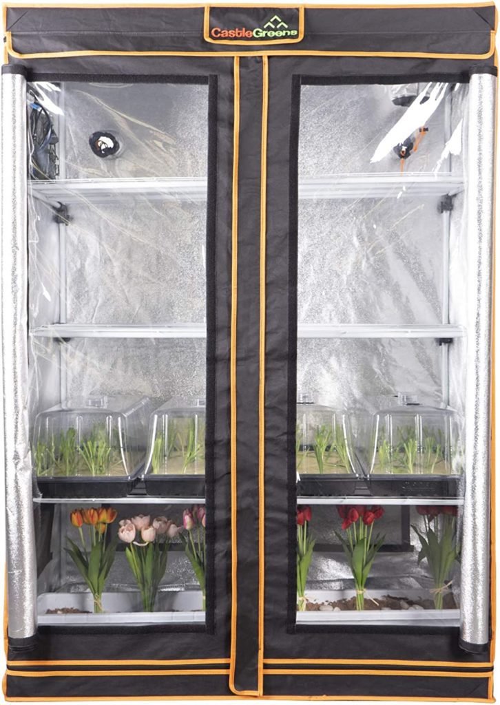 5 best small grow tents for indoor gardening