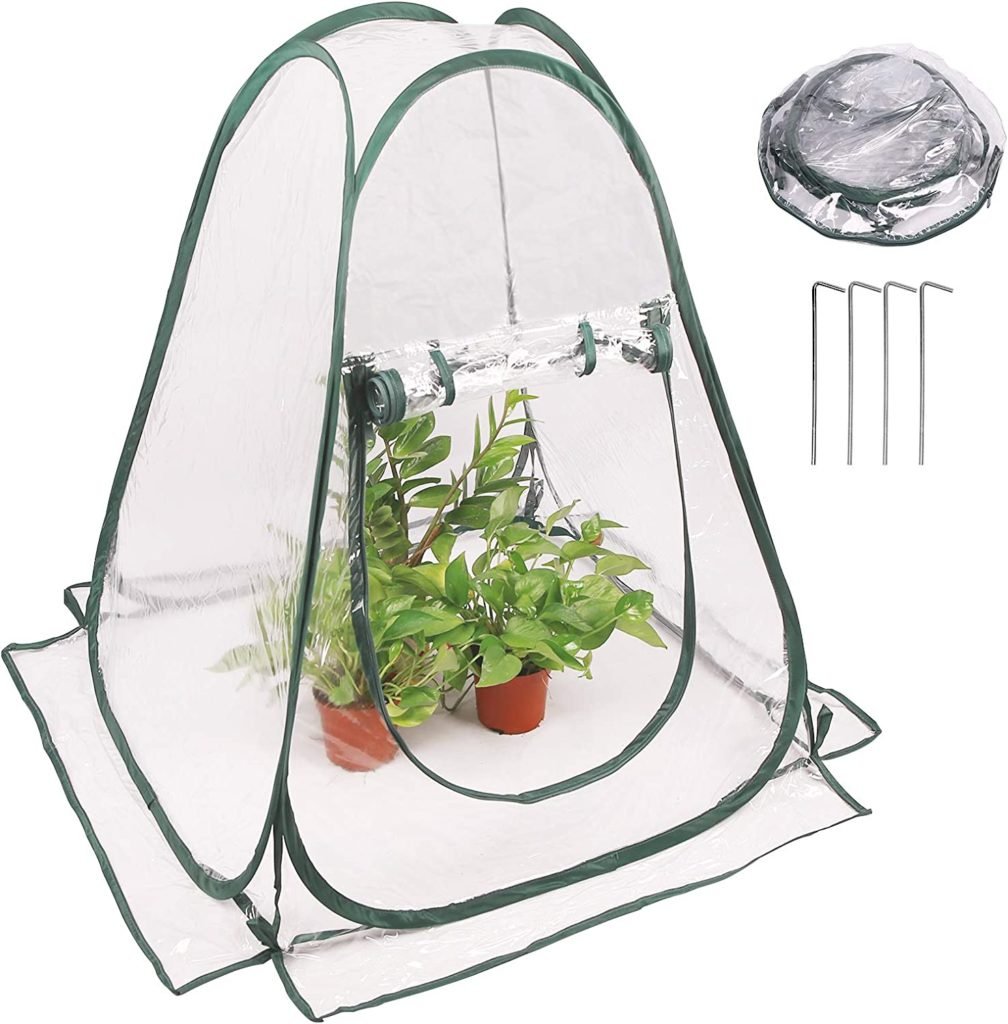 5 best small grow tents for indoor gardening