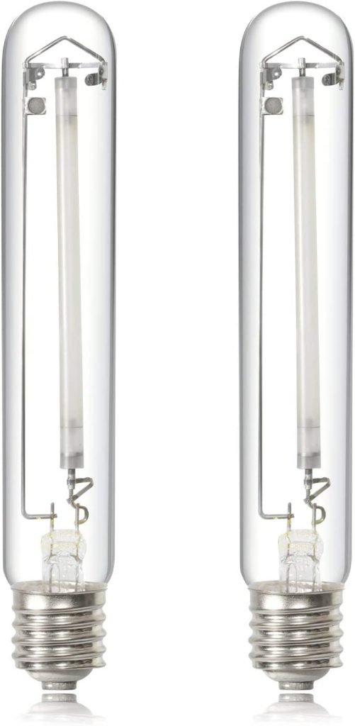 10 Best LED Grow Lights for Indoor Plants