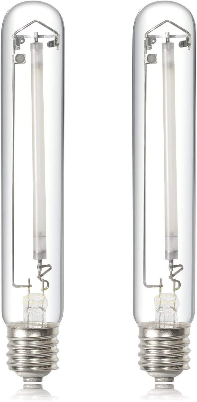 10 Best LED Grow Lights for Indoor Plants